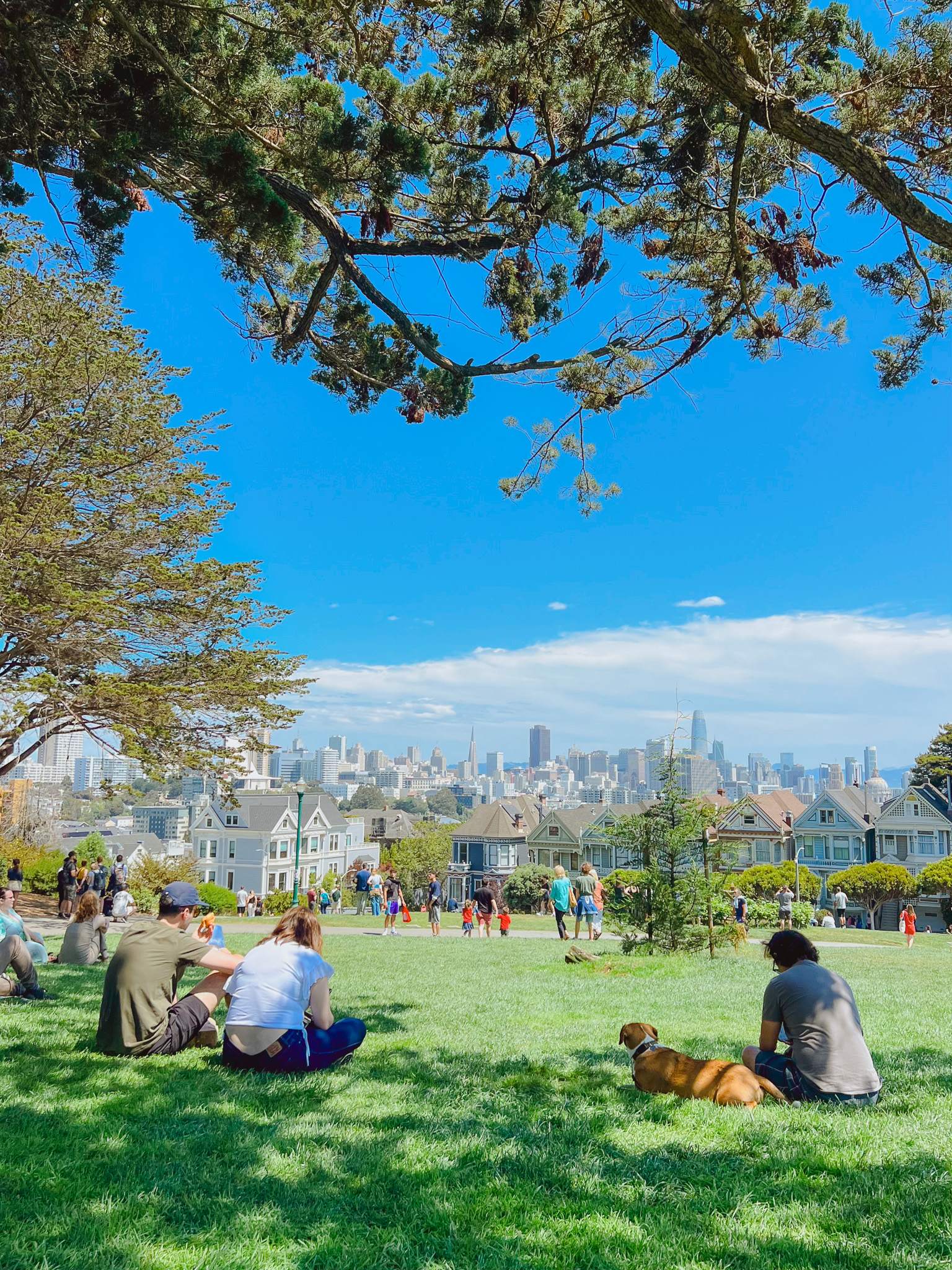 San Francisco: The City's Top 10 Parks, From a Local The Friendly Traveler